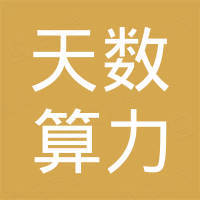 上海天数智芯半导体有限公司 - 企查查