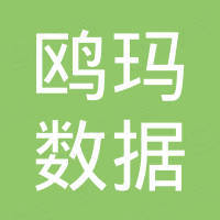 山东山大鸥玛软件股份有限公司 - 企查查
