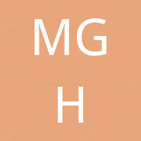MGH Logistics Asia Pte. Limited - 企查查