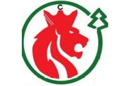 东莞市雄狮木业有限公司 - 企查查