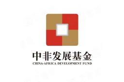 中非发展基金有限公司 - 企查查