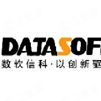 重庆新数软信息科技有限公司 - 企查查