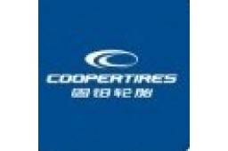 固铂轮胎（中国）投资有限公司 - 企查查