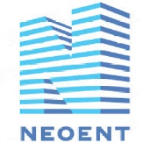 上海纽恩特实业股份有限公司 - 企查查