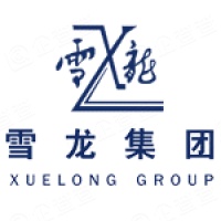雪龙集团股份有限公司 - 企查查