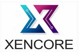 北京晟芯网络科技有限公司 - 企查查