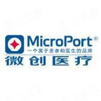 微创投资控股有限公司 - 企查查