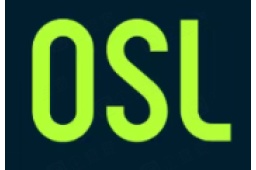 OSL集團有限公司 - 企查查