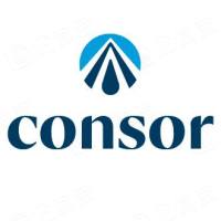 Consor - Consor公司 - Consor竞品公司信息 - 企查查